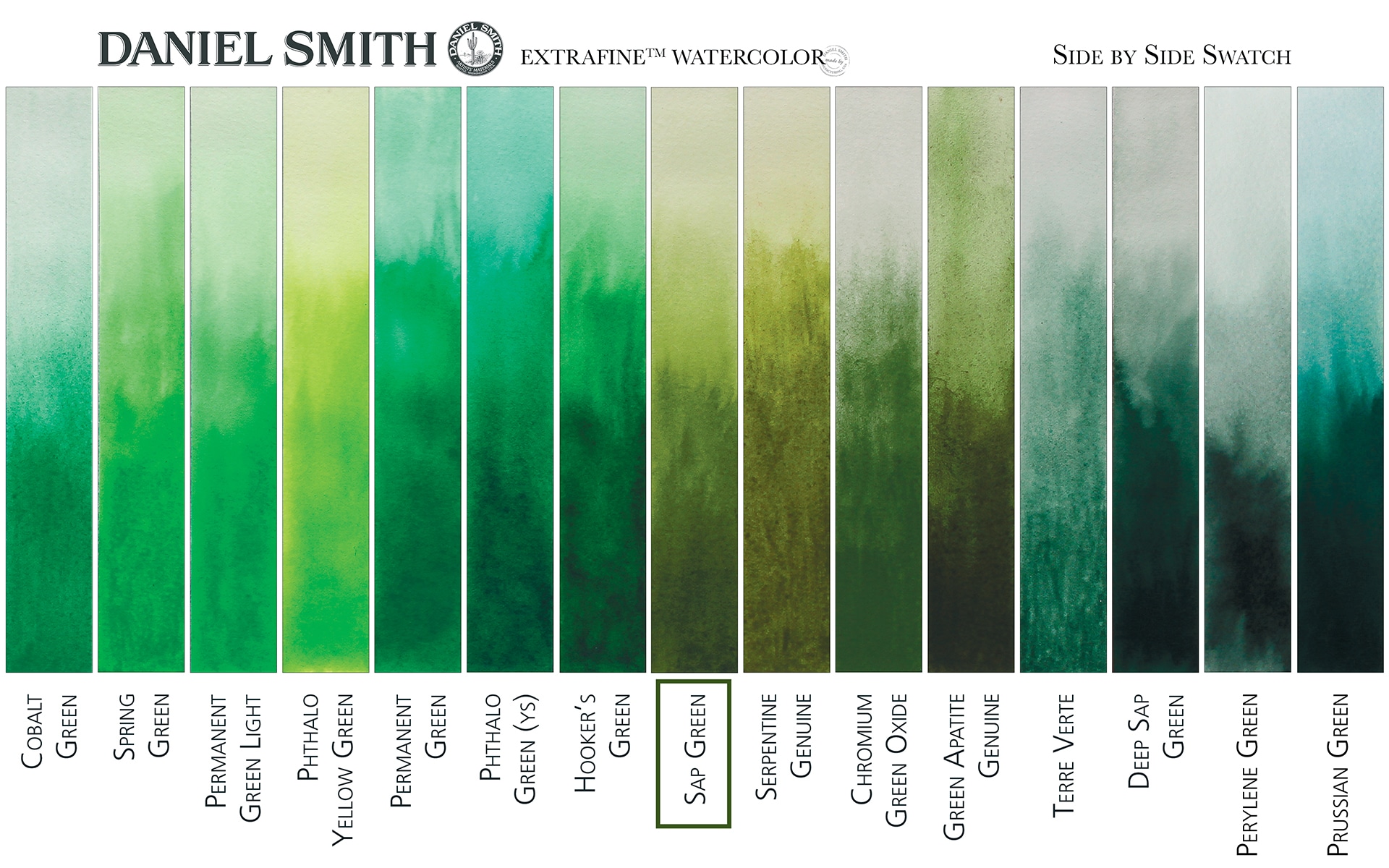 Daniel Smith Sap Green Extra Fine watercolor